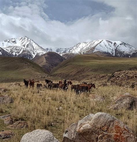 우즈베키스탄 페르가나