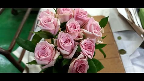 헤라 생화 꽃집 꽃집창업 꽃값 온라인꽃시장 온라인꽃도매 인터넷꽃시장 인터넷꽃도매 서울꽃시장 꽃농장 꽃배송 생화배송 생화도매 생화택배 꽃배달 생화배달 생화주문 생화부케