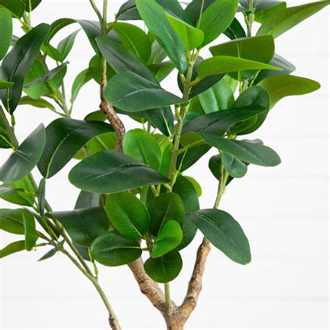 4 Artificial Audrey Ficus Tree Nearly Natural
