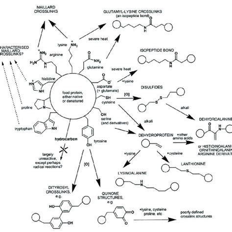 Schematic Illustration Of The Casein Micelle Structure Incorporated Download Scientific