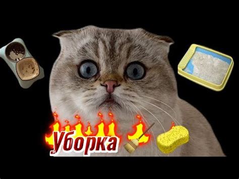 Уборка 🧹 - YouTube