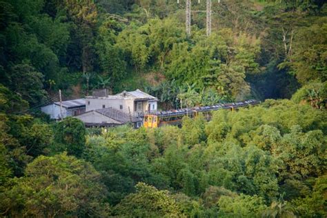 A Yellow Diesel Train Is Driving In The Mountains And Forests Pass A