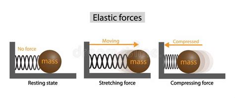 Illustration Of Physics Elastic Forces Elastic Force Stretch
