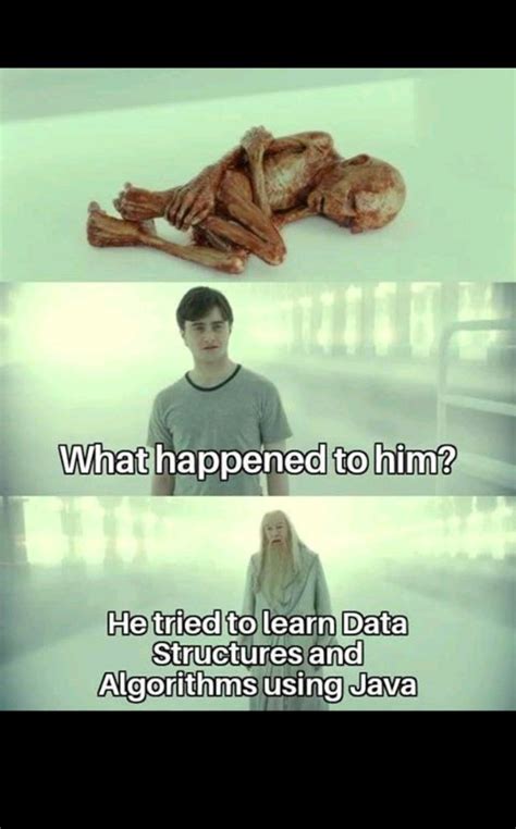 Theprimeagen On Twitter I Learned Dsa In Java