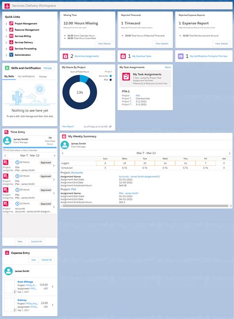 services delivery workspace overview professional services automation
