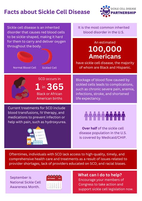 About Sickle Cell Disease Sickle Cell Disease Partnership