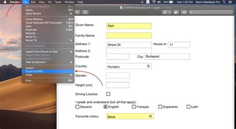 The 3 Best Method To Fill Out A PDF Form On Mac