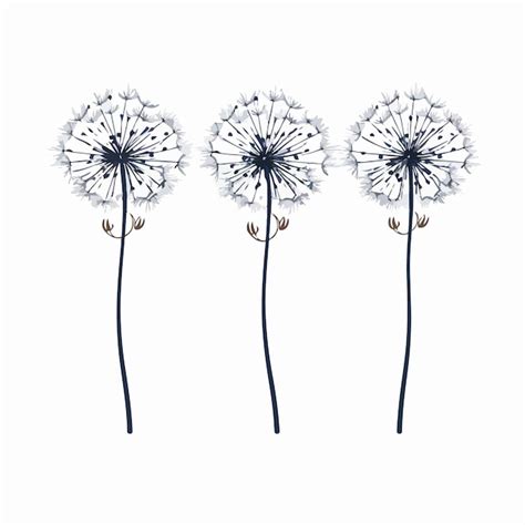Premium Vector Artistic Interpretation Of A Dandelion In An Outline Style