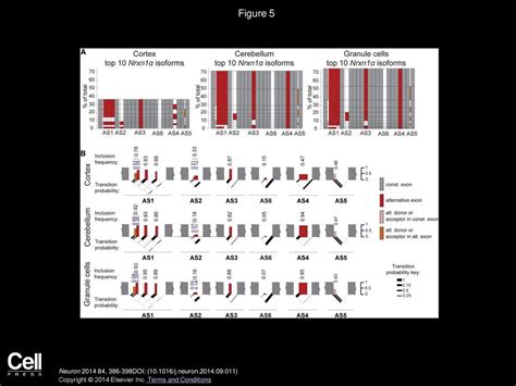 Volume 84 Issue 2 Pages October 2014 Ppt Download