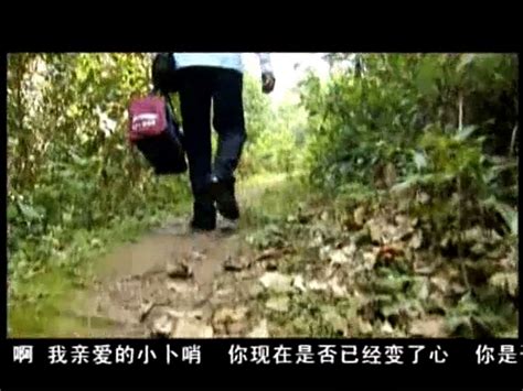 ထိုင်ယူႇၵူႈဝၼ်း วิดีโอ Dailymotion