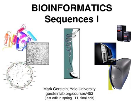 Ppt Bioinformatics Sequences I Powerpoint Presentation Free Download Id 8746808