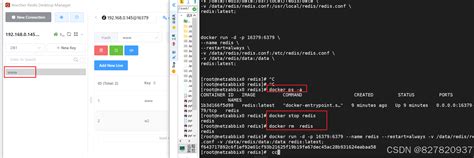 docker配置redis持久化 docker unsee tech csdn博客