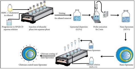 Design Of Experiment Based Formulation Optimization Of Chitosan Coated Nano Liposomes Of