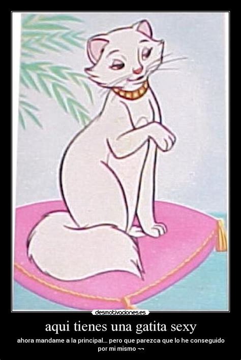 Aqui Tienes Una Gatita Sexy Desmotivaciones