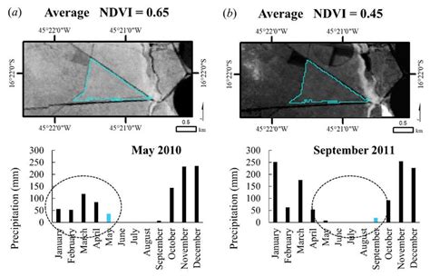 Monthly Precipitation Pattern Example Objects Average Ndvi Values In