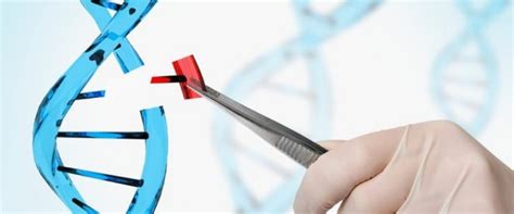 CRISPR Off Target Effects And Their Concerns BioTechniques