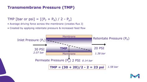 Introduction To Tangential Flow Filtration Tff Pdf Chemistry