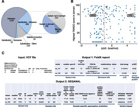 Snpeffect Analysis Of Carcinoma Cell Line Shp 77 A Number Of Different Download Scientific