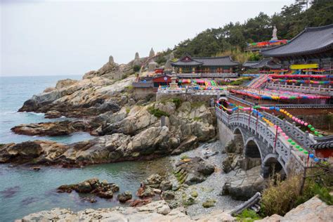 590 Tempio Haedong Yonggungsa Foto Stock Immagini E Fotografie Royalty Free Istock