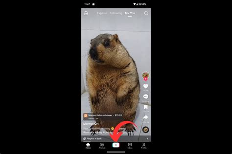 how to make effects on tiktok using the effects tray spice up your videos