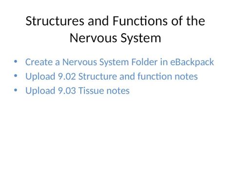 Pptx Structures And Functions Of The Nervous System Create A Nervous