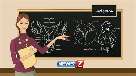 காமத்துப்பால் Documentary About Sex Education News7 Tamil Youtube
