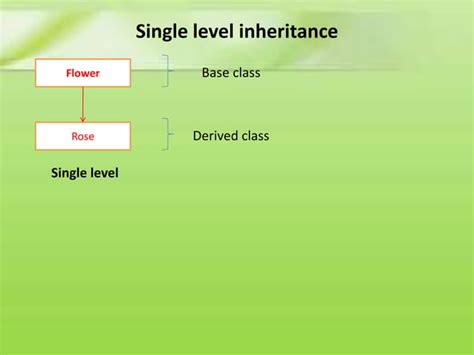 principles and advantages of oop ppt pptx programming languages