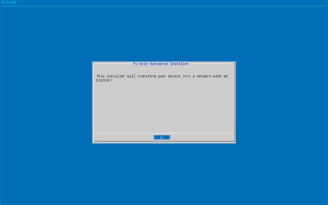 Install Pi Hole In Ubuntu LTS Virtualization Howto