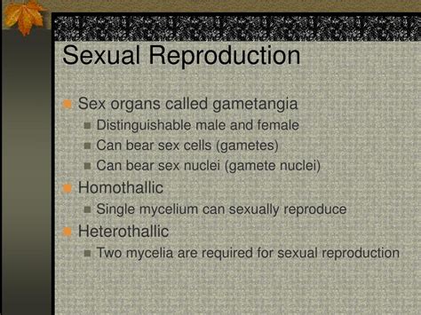 PPT Fungi PowerPoint Presentation Free Download ID