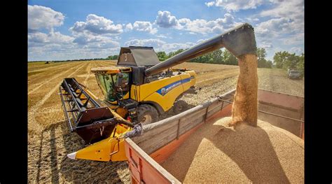 Правительство Польши приняло решение временно запретить импорт зерна с Украины