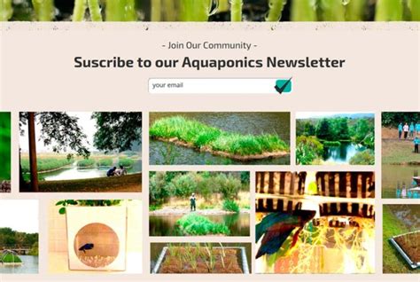 DiseƱo De Newsletter En Html Obtenga Un Newsletter Online DiseƱo De Newsletter En Html Obtenga Un Newsletter Online
