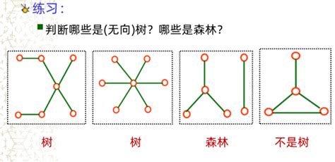 离散数学 图论 树（13） 无向树 csdn博客