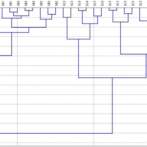 Cluster Analysis Of Sampling Sites According To Euclidean Distances By Download Scientific