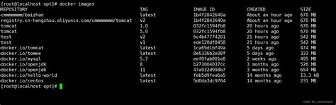 docker入门 docker 运行小linux容器 csdn博客