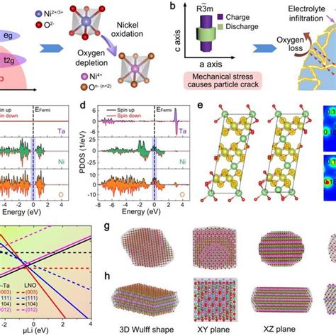 Cross‐sectional Sem Image Of Assb With Graphite‐based Anode After First Download Scientific