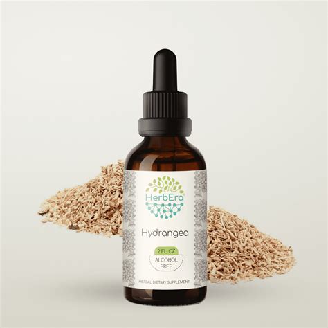 Hydrangea Alcohol Free Herbal Extract Tincture Super Concentrated