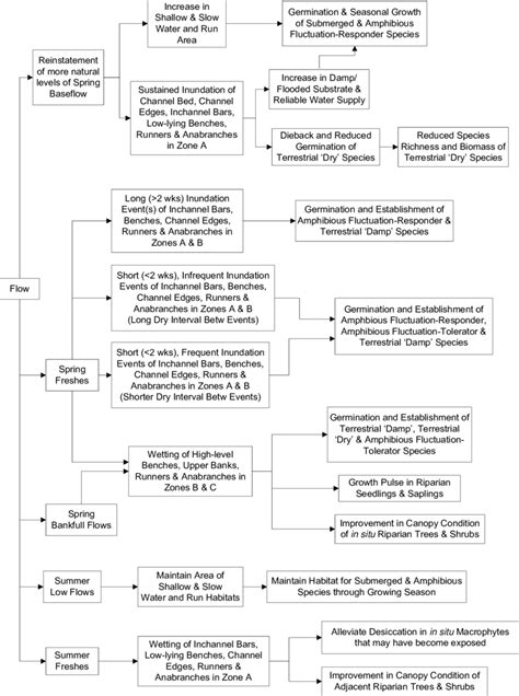 Conceptual Model Of Aquatic And Riparian Vegetation Responses To Spring Download Scientific