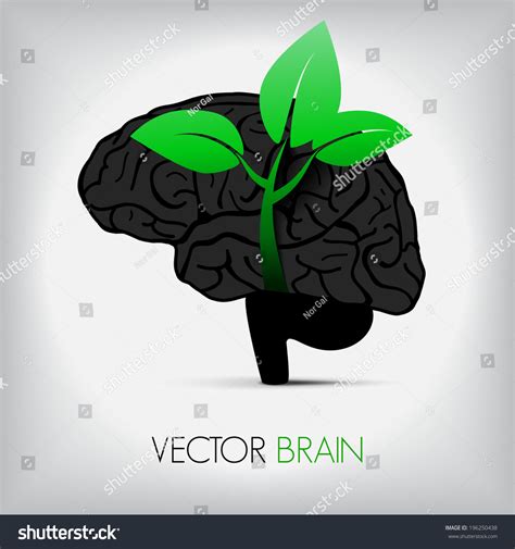 Illustration Human Brain Sprout Vector Graphic Stock Vector Royalty Free 196250438