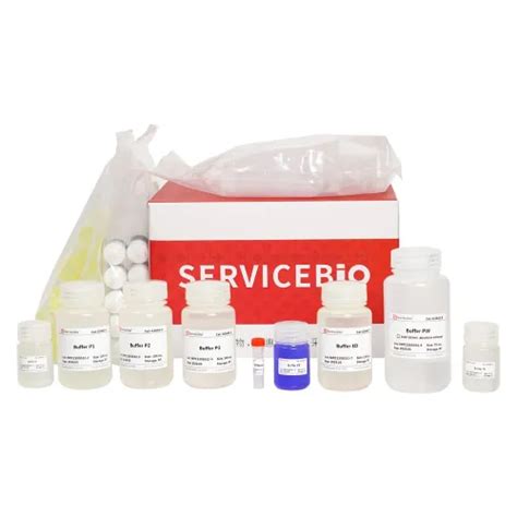 Plasmid Plasmidsaurus Plasmid Vector