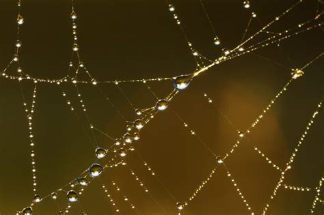Graph Theory Quantdare