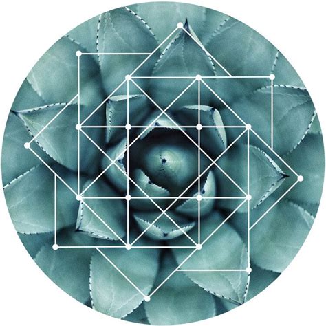 Fibonacci Numbers And The Golden Ratio Diploma Course Artofit