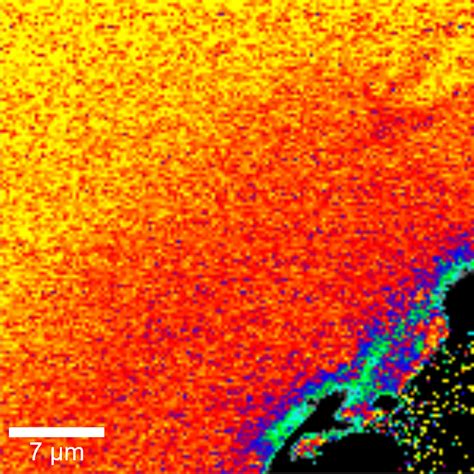 半导体与光伏 Witec Raman Imaging 牛津仪器