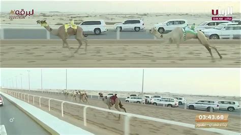 ش2 شاهين لـ عبدالله جابر حمد جابر الحنزاب المحلي الثالث 4 10 2023ص