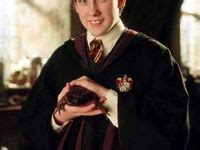 21 Neville Longbottom Ideas Neville Longbottom Matthew Lewis Harry Potter