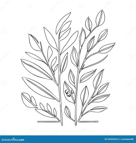 Parallel Leaf Floral Outline Illustration Sketch Stock Vector