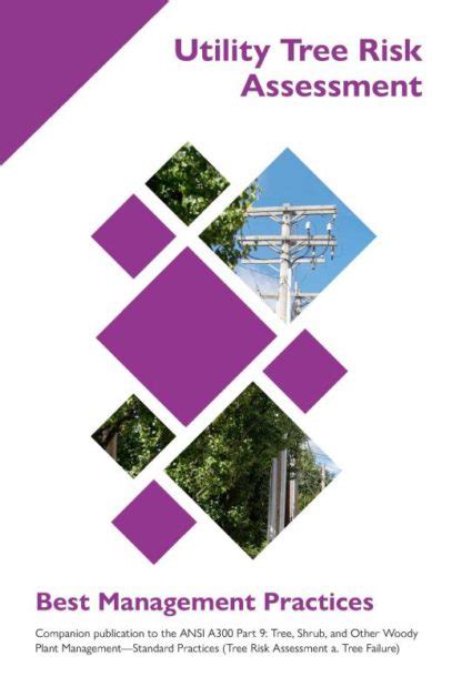 MIS501 Tree Risk Assessment TreeLogic Tools