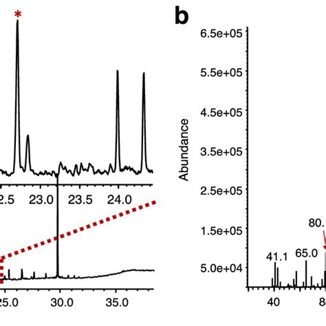 Gcms Analysis On Soil Sample Pt S2 Containing Pmpa At ~ 5 μgg