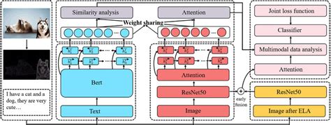 The Architecture Of Mcnn The Network In Blue Is The Text Feature Download Scientific Diagram