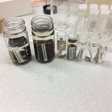 Wisconsin Wetland Insects Live A Lifestyle Of Sex Violence And