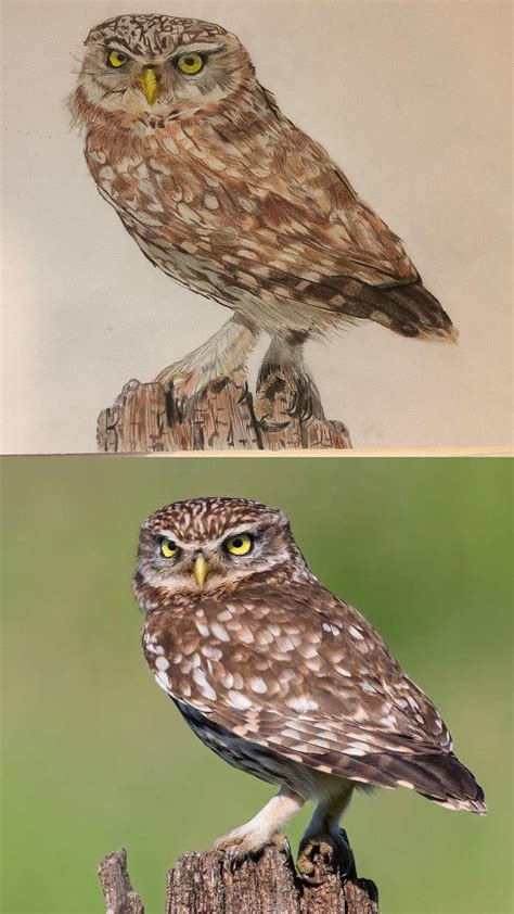 U A Wet Arduino ・ Popular Pics ・ Viewer For Reddit